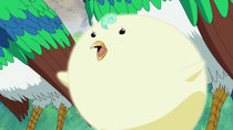 One Piece Episode 513 info and links where to watch
