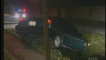 Cops Season 19 Episode 32