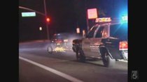 Cops Season 20 Episode 26