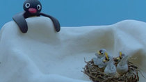 Pingu Season 3 Episode 19