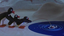 Pingu Season 4 Episode 3