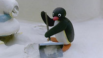 Pingu Season 4 Episode 3