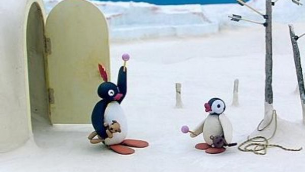 Pingu Season 4 Episode 22