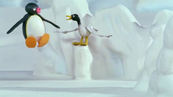 Pingu Season 5 Episode 5