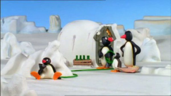 Pingu Season 6 Episode 2