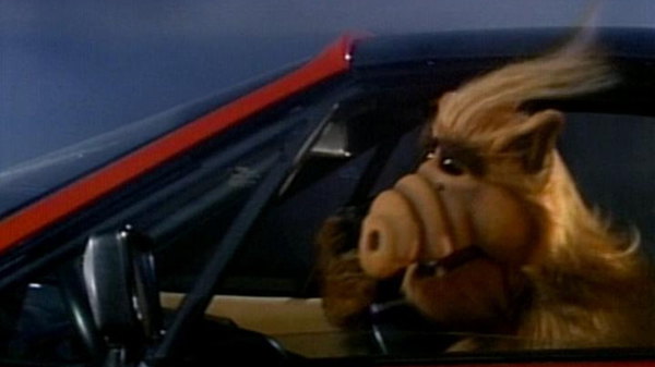 ALF Season 1 Episode 10 Recap
