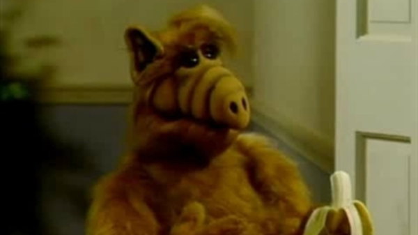 ALF Season 1 Episode 20 Recap