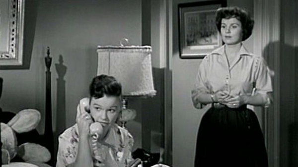 The Donna Reed Show Season 1 Episode 29 Recap