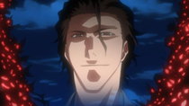 Bleach Episode 110 - Watch Bleach E110 Online