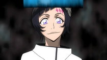Bleach Episode 100 - Watch Bleach E100 Online