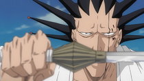 Bleach Episode 224 - Watch Bleach E224 Online
