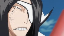 Bleach Episode 224 - Watch Bleach E224 Online