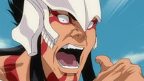 Bleach Episode 220 info and links where to watch