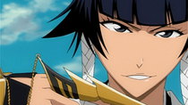 Bleach Episode 224 - Watch Bleach E224 Online