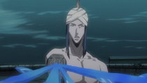 Bleach Episode 224 - Watch Bleach E224 Online