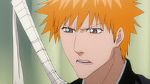 Bleach Episode 224 - Watch Bleach E224 Online