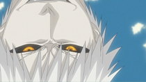 Bleach Episode 224 - Watch Bleach E224 Online