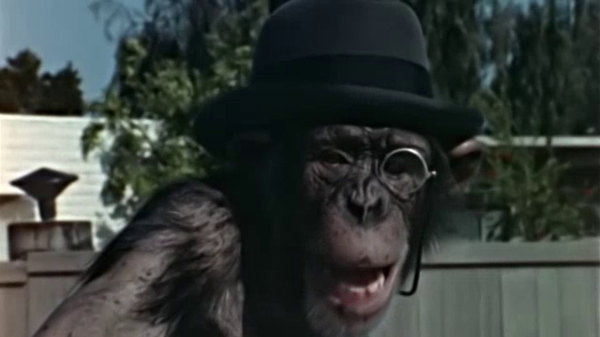 Lancelot Link, Secret Chimp Season 1 Episode 17