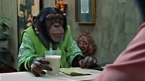 Lancelot Link, Secret Chimp Season 1 Episode 15