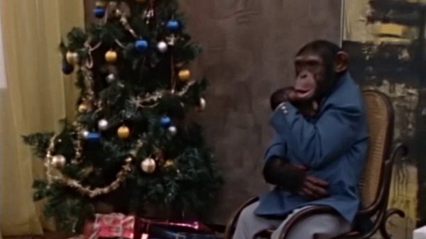 Lancelot Link, Secret Chimp Season 1 Episode 15