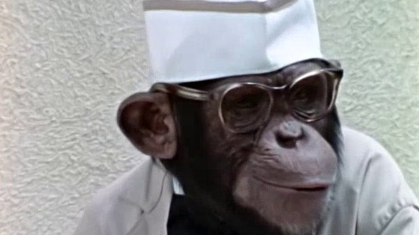 Lancelot Link, Secret Chimp Season 1 Episode 13
