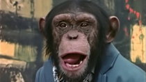 Lancelot Link, Secret Chimp Season 1 Episode 15