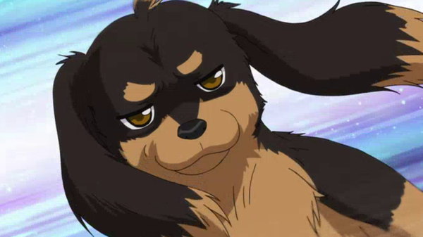 Inu to Hasami wa Tsukaiyou Episode 1 info and links where to watch