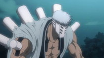 Bleach Episode 238 - Watch Bleach E238 Online
