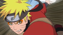 Naruto Shippuuden Episode 161 - Watch Naruto Shippuuden E161 Online