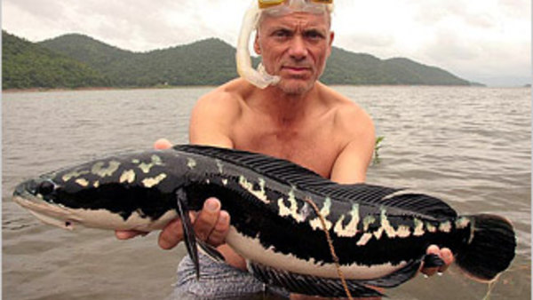 River Monsters Season 2 Episode 2
