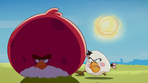 Angry Birds Toons Season 1 Episode 1