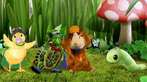 The Wonder Pets! episodes (TV Series 2006 - 2013)