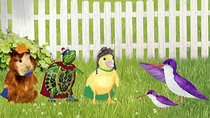 The Wonder Pets! Season 2 Episode 11