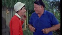 Gilligan's Island Season 3 Episode 28 Recap