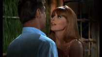 Gilligan's Island Season 3 Episode 19 Recap