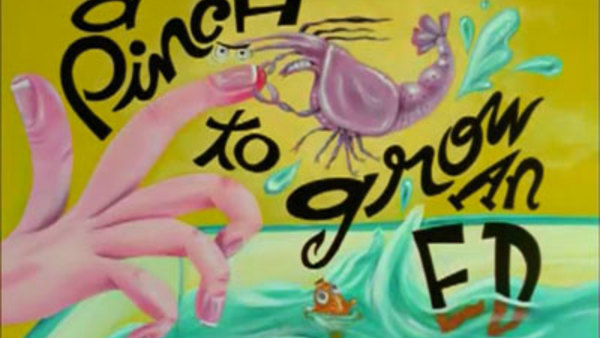 Ed, Edd n Eddy Season 1 Episode 6 Recap