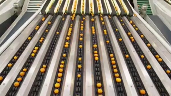 Food Factory USA Season 2 Episode 7