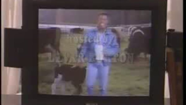 Reading Rainbow Season 6 Episode 4