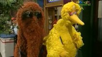 Sesame Street episodes (TV Series 1969 - Now)