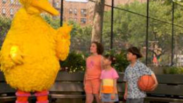 Sesame Street Season 37 Episode 9
