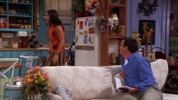 Friends Season 8 Episode 7 Recap