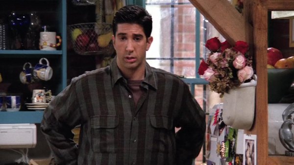 Friends Season 2 Episode 14 Recap