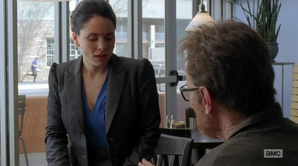 Breaking Bad Season 5 Episode 16 Recap