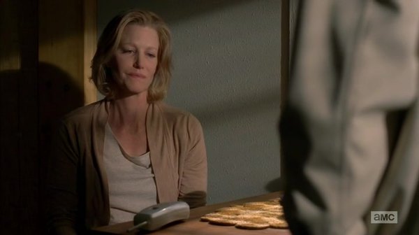 Breaking Bad Season 5 Episode 16 Recap