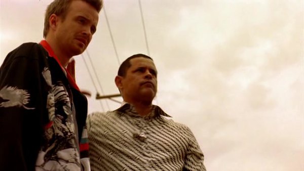 Screencaps of Breaking Bad Season 2 Episode 1