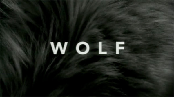 Wildlife Specials Episode 7