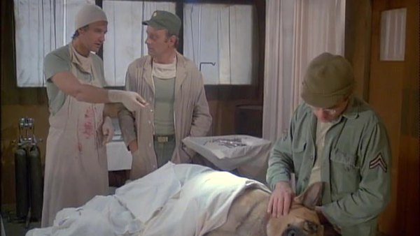 M*A*S*H Season 5 Episode 8 Recap