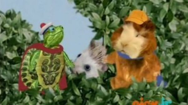 The Wonder Pets! Season 1 Episode 23