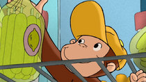 Curious George episodes (TV Series 2006 - 2022)