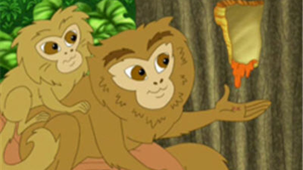 Go, Diego, Go! Season 1 Episode 11